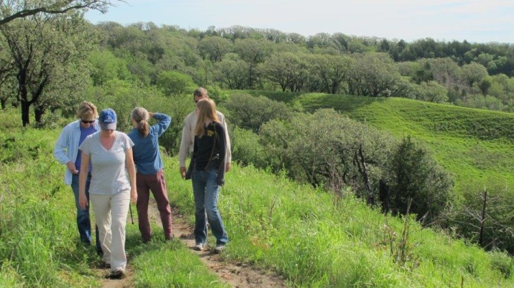 Wild Stories in Written in Loess | The Naturalist School